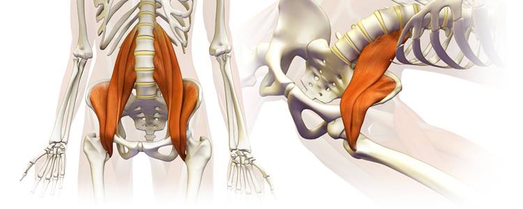 The power of simplicity with psoasrelease - Body Basics - Well-being